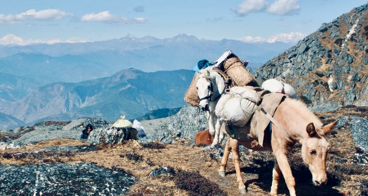 Dagala Thousand Lakes Trek - 6 Days | Cost for 2025 and 2026